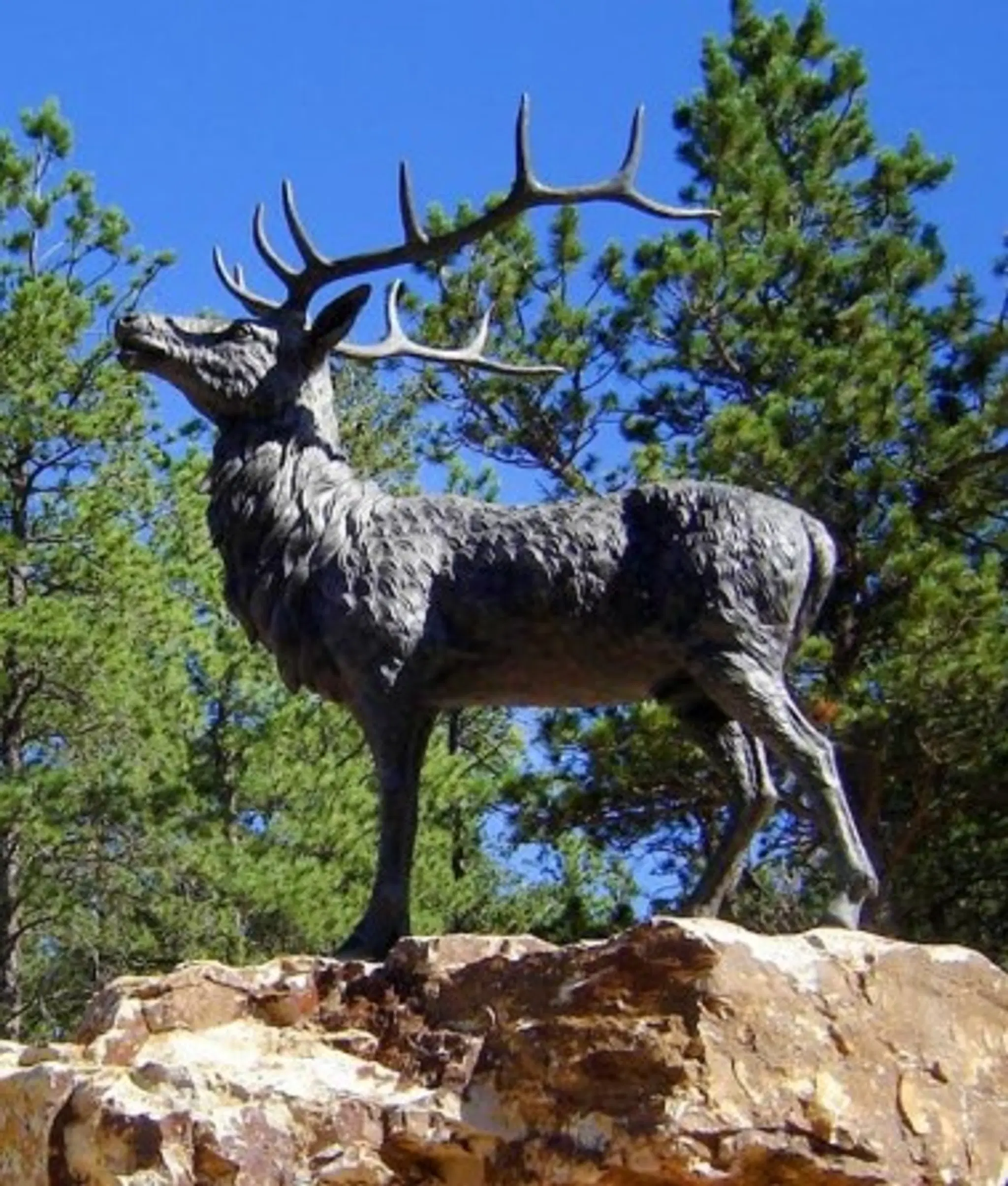 Wildlife Bronze Statues | Outdoor & Indoor | Fine's Gallery